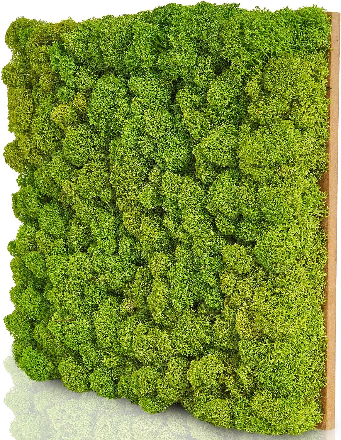 Moosbilder kaufen vs selber machen | Künstliche Pflanzen und Deko